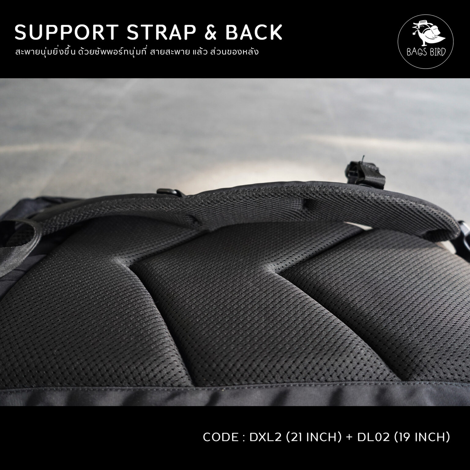 DXL2 กระเป๋าเป้เดินทาง - BAGSBIRD
